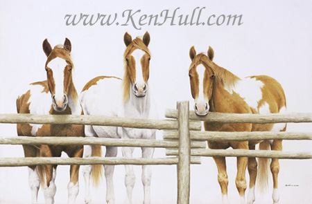 Ken Hull